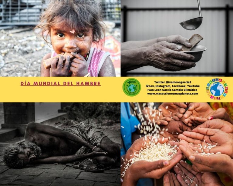 Día Mundial del Hambre | Hey! Diario Digital | Plataforma global de ...